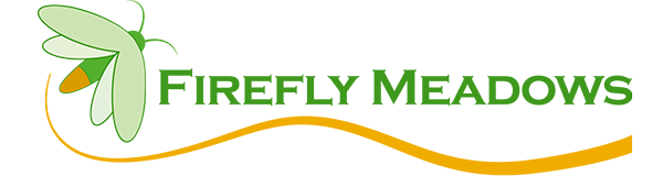 Honey Bees for Sale Lancaster, Pennsylvania - Nucs & Queens